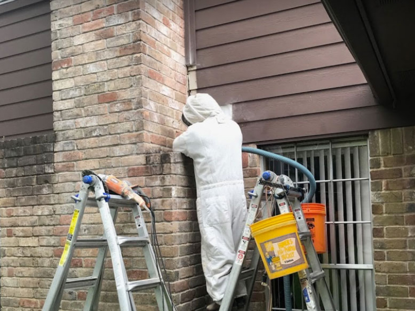 Commercial Bee Removal, Emergency Bee Removal | Cypress, Houston ...